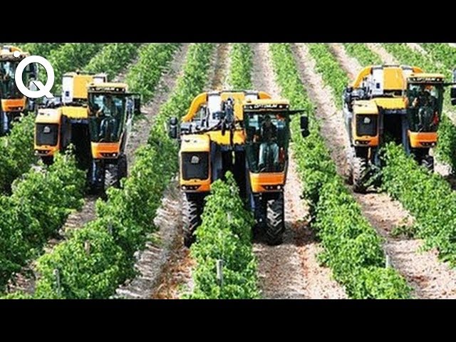 Quantum Tech HD - The YouTuber